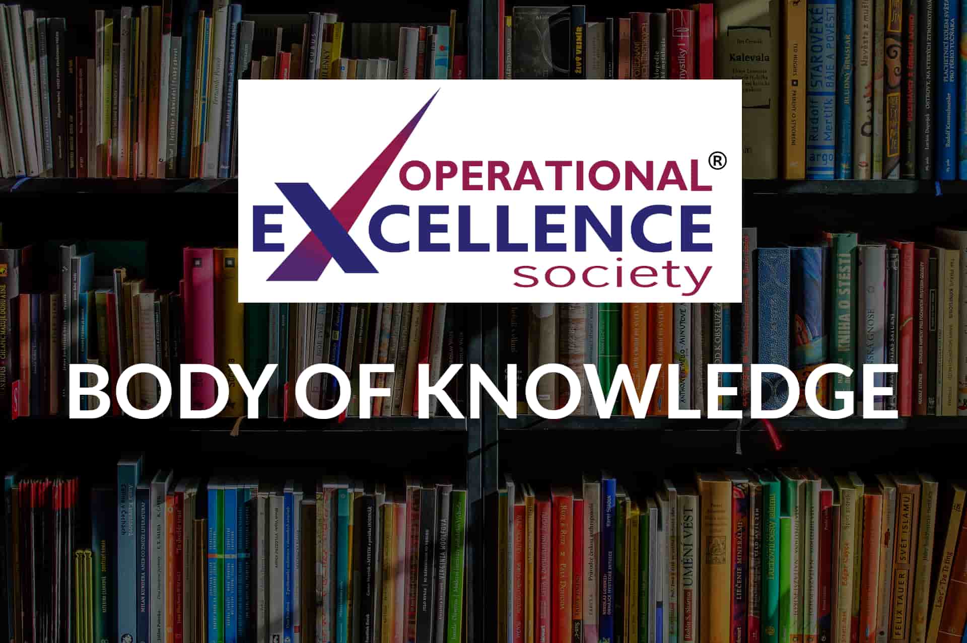 Operational Excellence Society Body of Knowledge